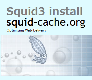 Ubuntu16.04LTSにSquid3導入